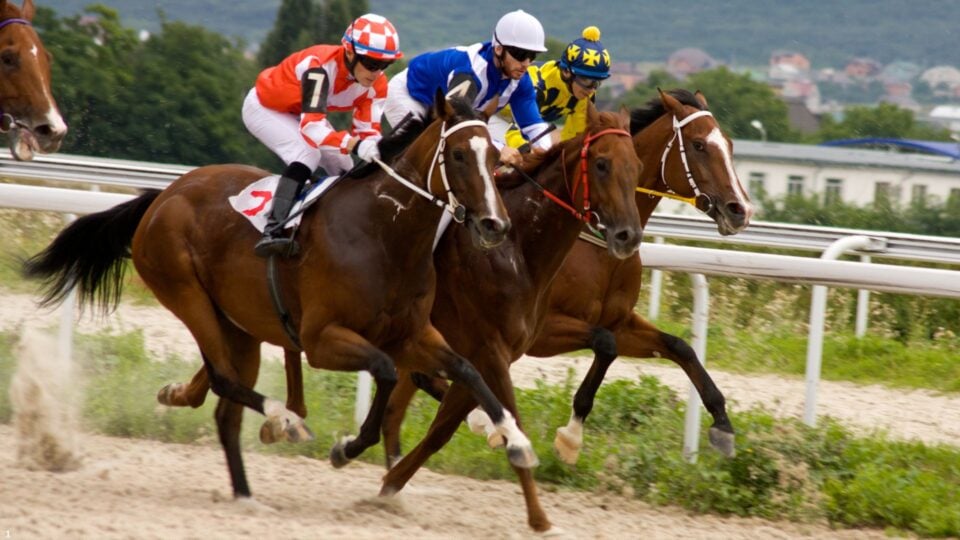 Horse Racing Pace And Running Styles Explained
