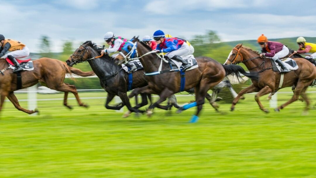 Dr. Fager: The World's Greatest Racehorse?