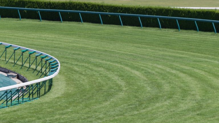 Why Are Some Horse Races On Grass And Others On Dirt