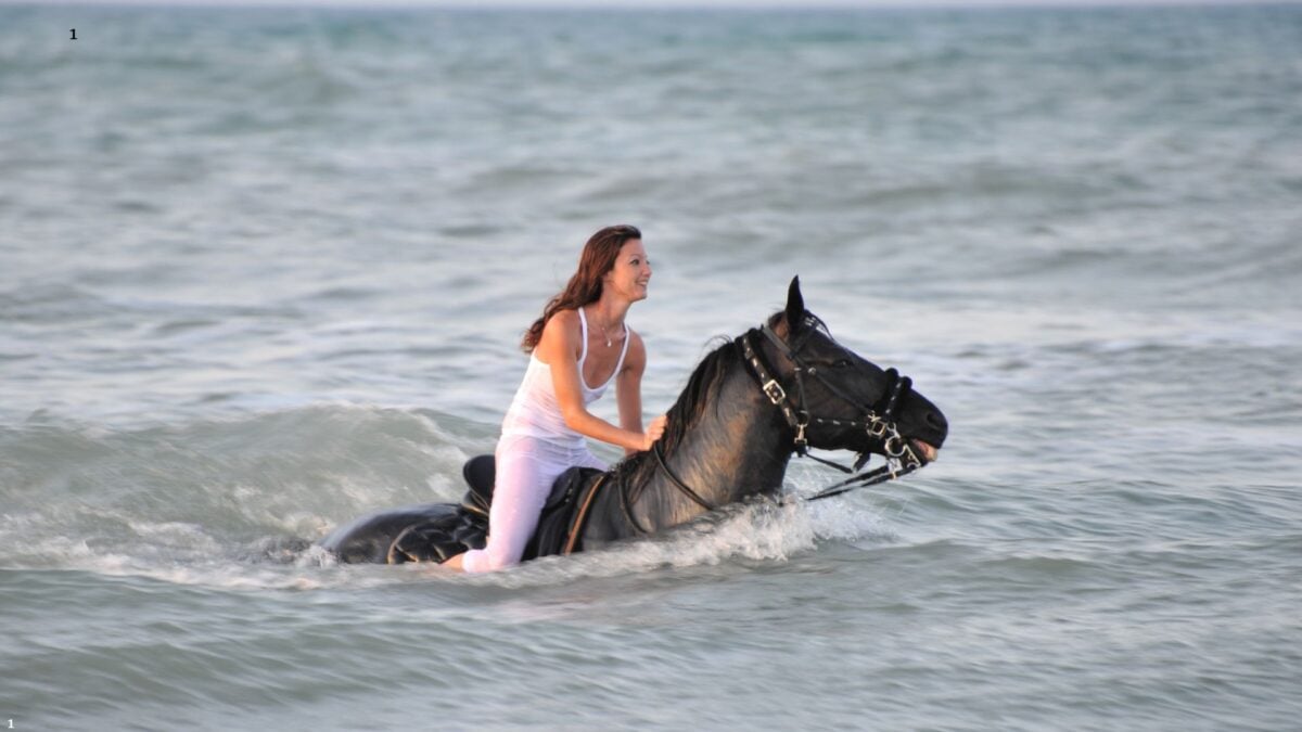 Can Horses Swim? Explore Equine Swimming Secrets