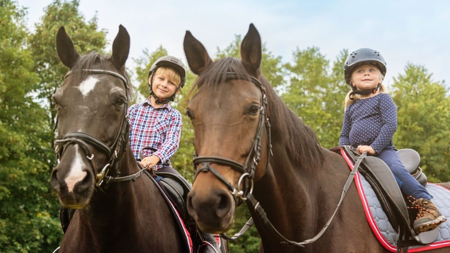 The 7 Best Games To Play On Or With Your Horses?