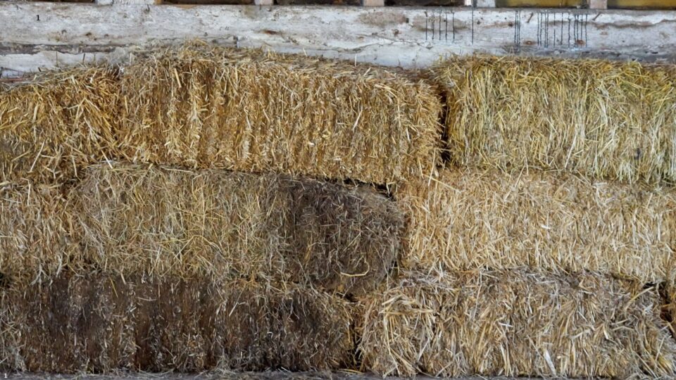 Cost Of A Bale Of Hay: A Detailed Pricing Guide