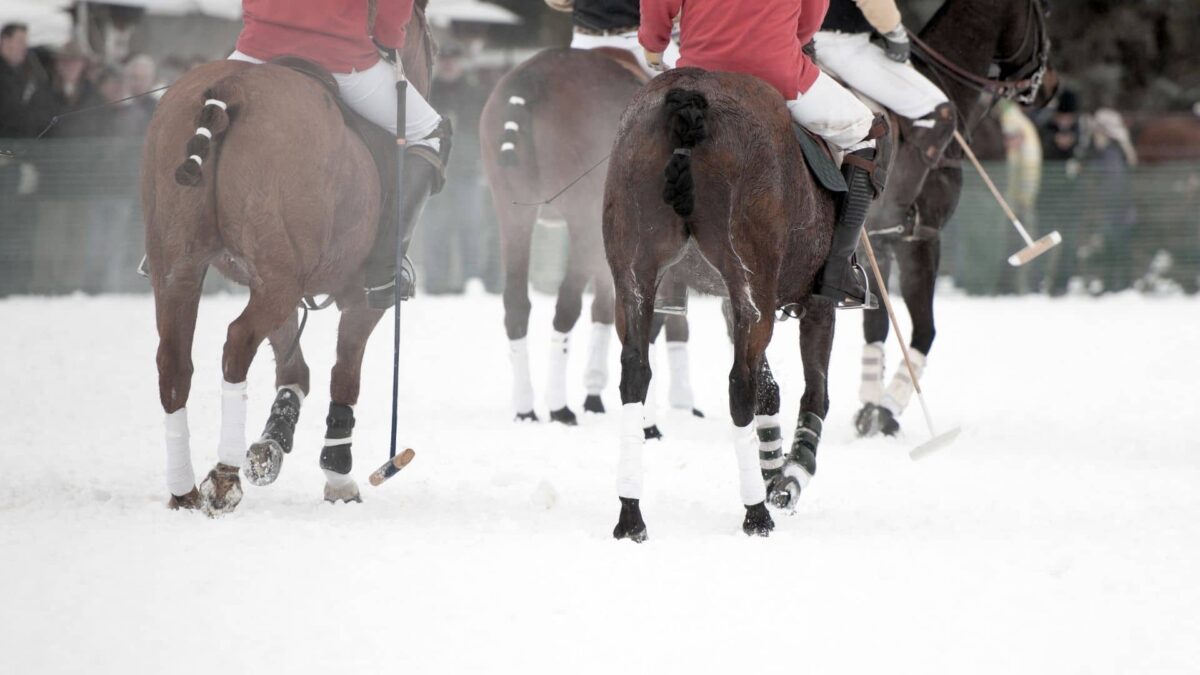 Where Did Horse Polo Originate? Plus 5 Notable Facts
