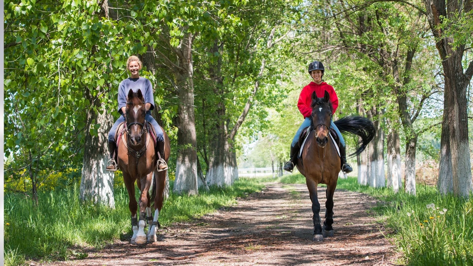 How Long Would It Take For A Horse To Travel 20 Miles how-long-would-it-take-for-a-horse-to-travel-20-miles
