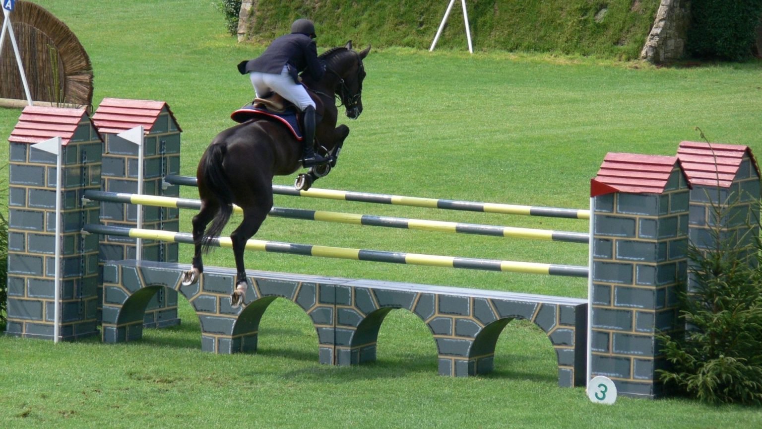 How High Can A Horse Jump? Equine Jumping Records.