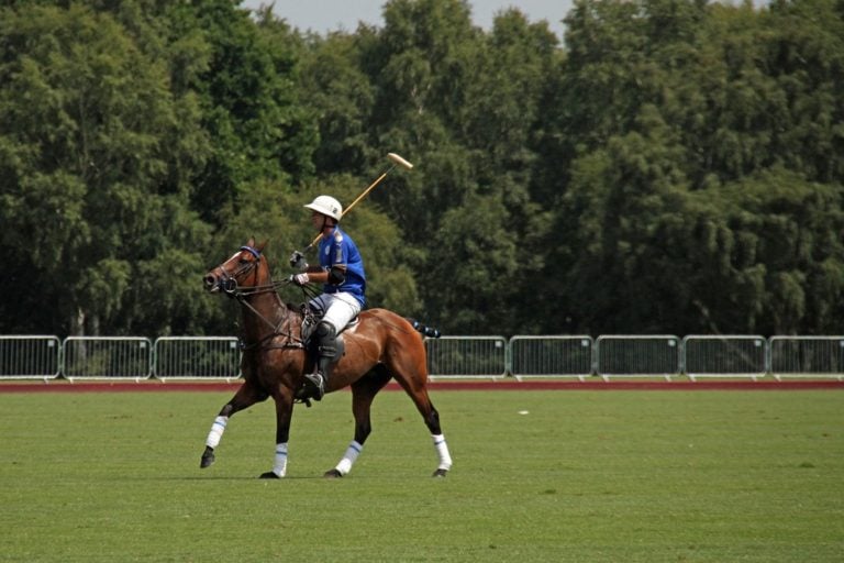 How Big Is A Polo Field? Plus Some Interesting Facts.