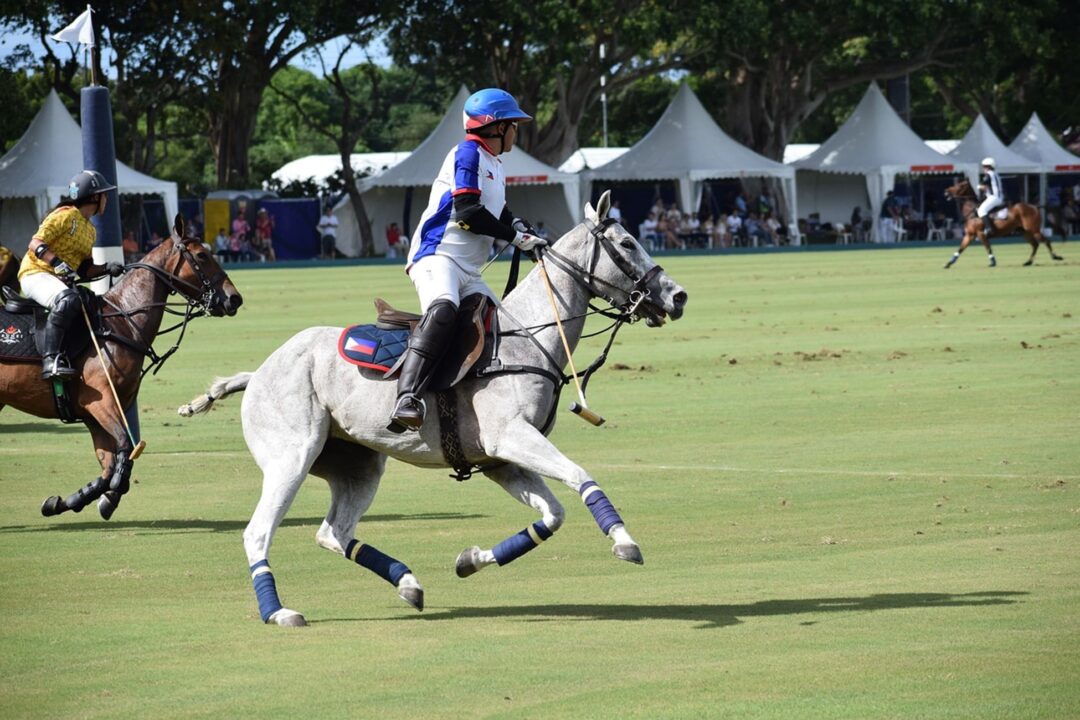 Is Polo A Cruel Sport? 5 Facts About The Game?