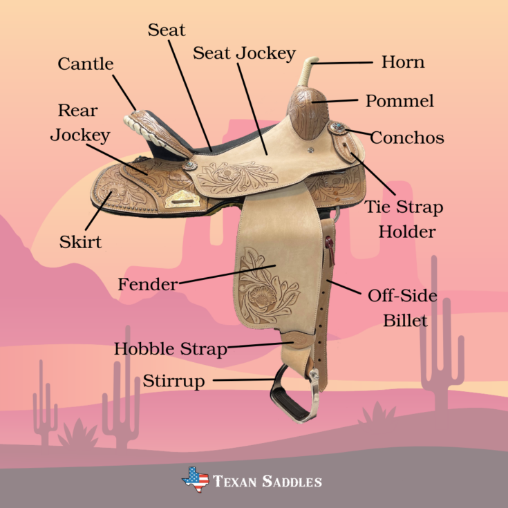 Parts Of A Saddle: Your Guide To Western Horse Saddles.