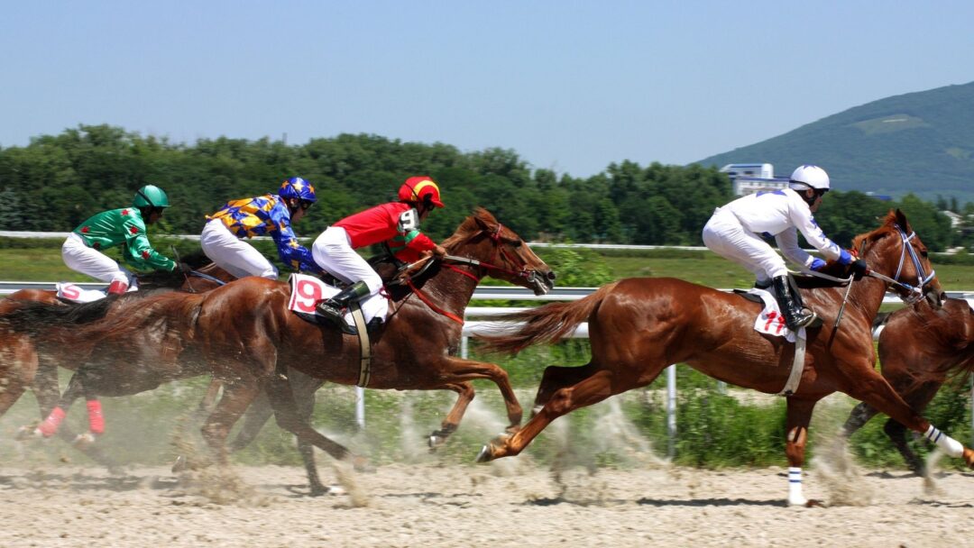 Why Horses Race Counter Clockwise: History & Science