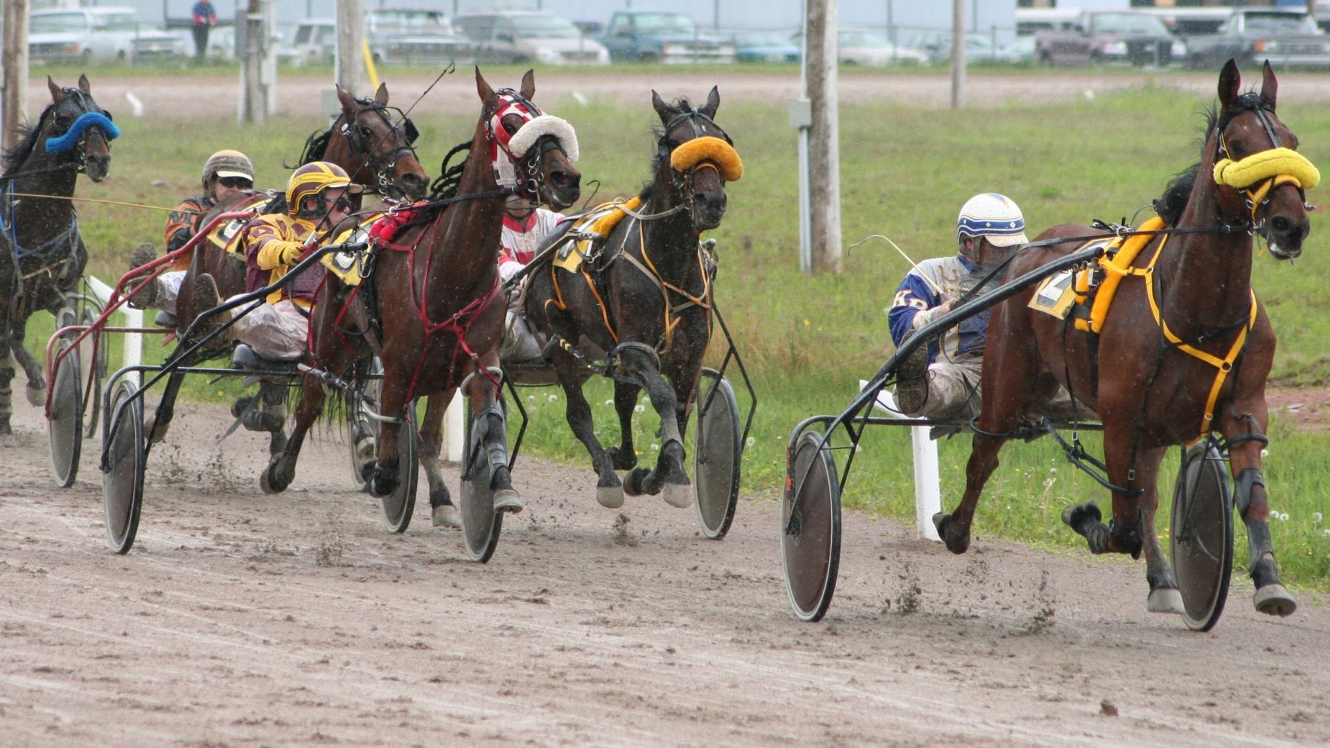 The Different Kinds Of Horse Races Explained