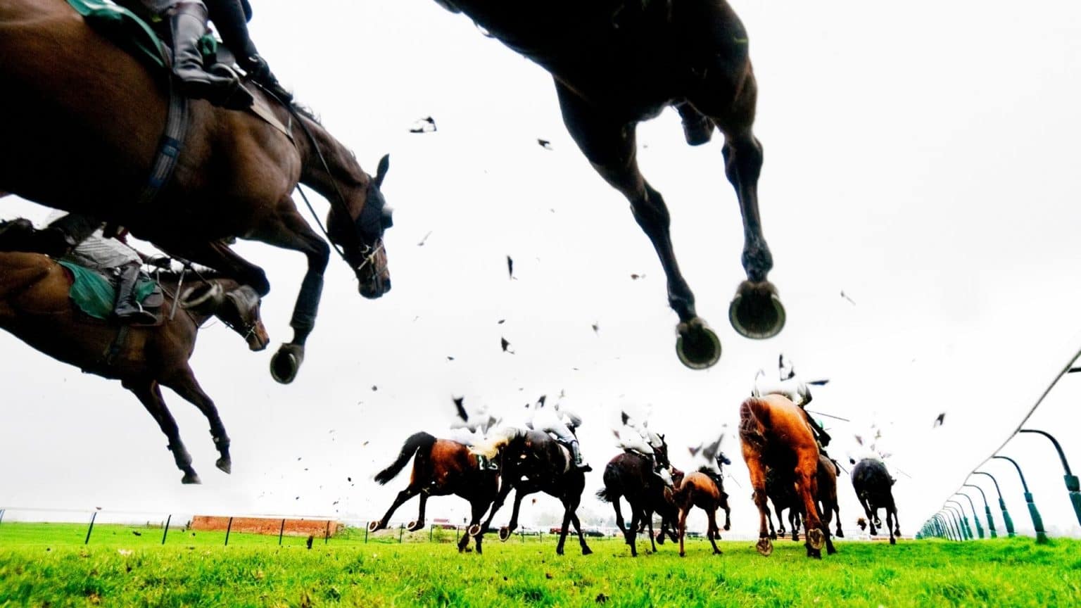 The Different Kinds Of Horse Races Explained