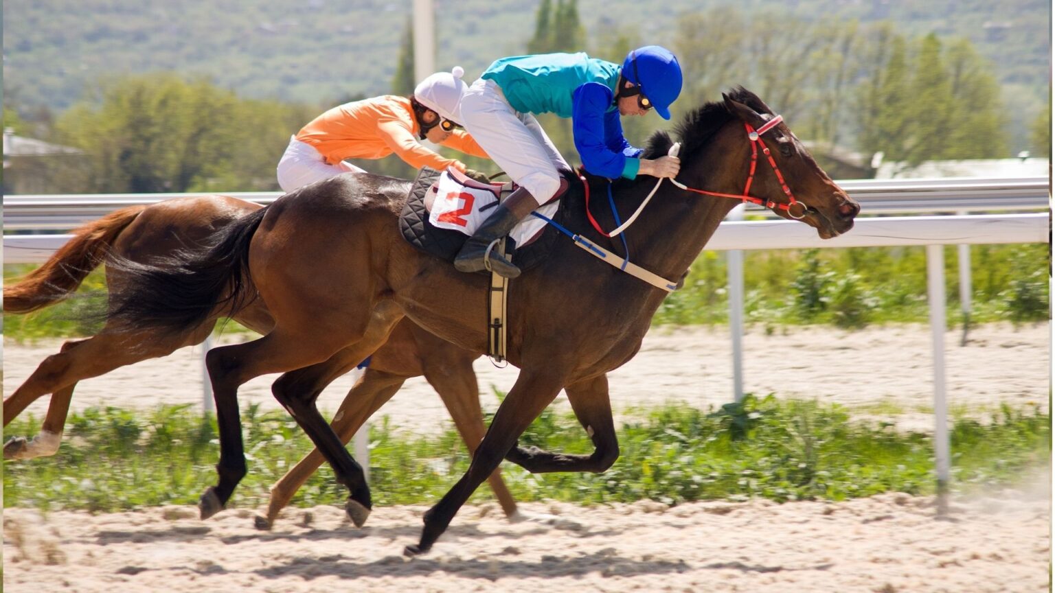 Horse Racing: Ethics And Controversy Explored