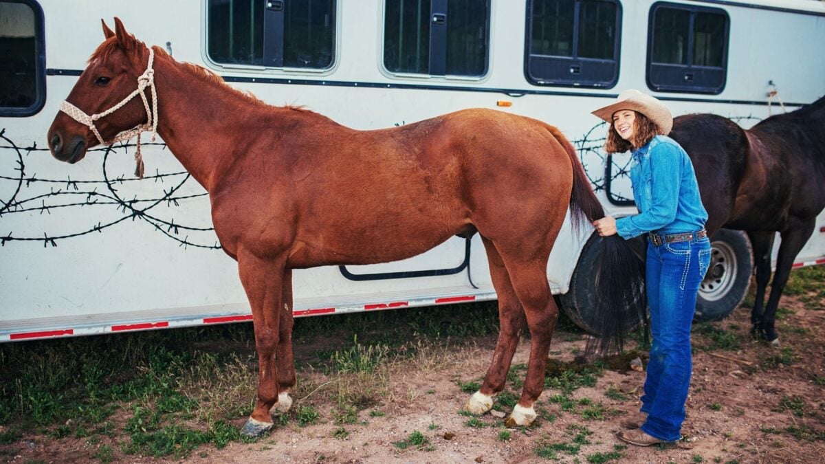 How Horses Show Affection: Signs Your Horse Loves You
