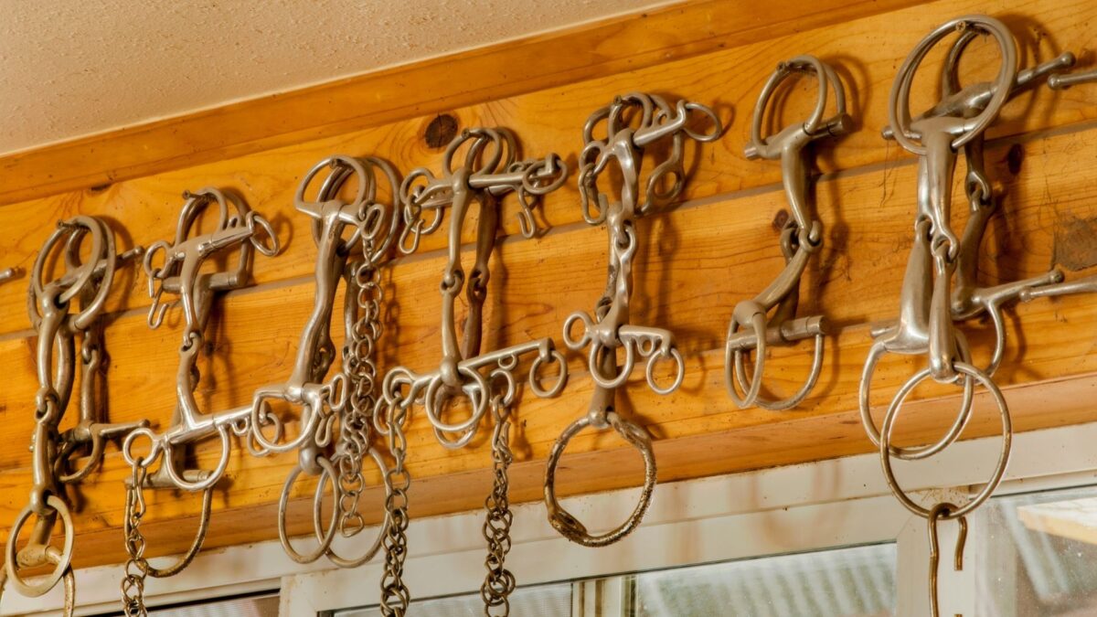 Horse Tack: Bits-Types And How To Choose The Right One