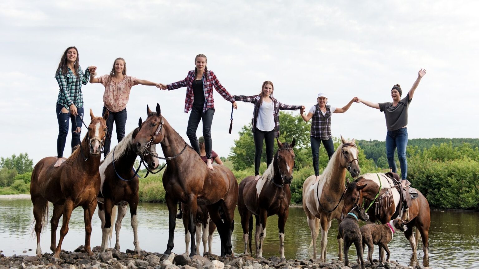 Horse Temperament: What Is The Best For A Beginner Rider?