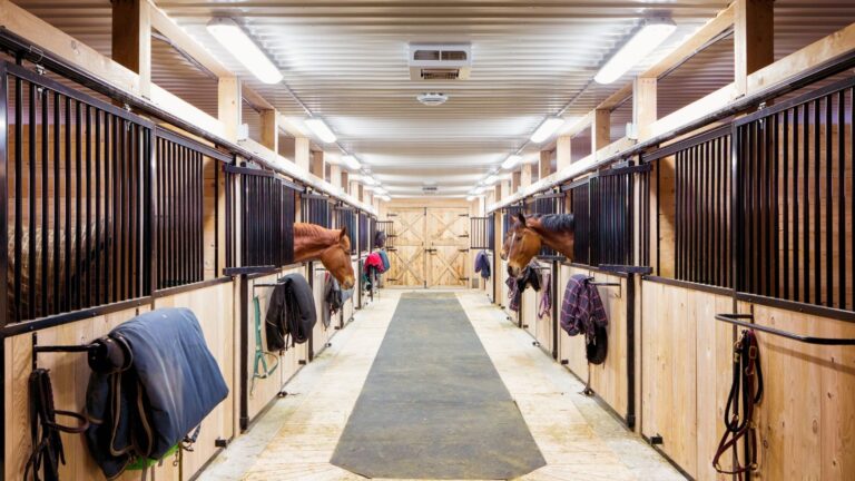Crafting The Ideal Horse Stall: A Comprehensive Guide