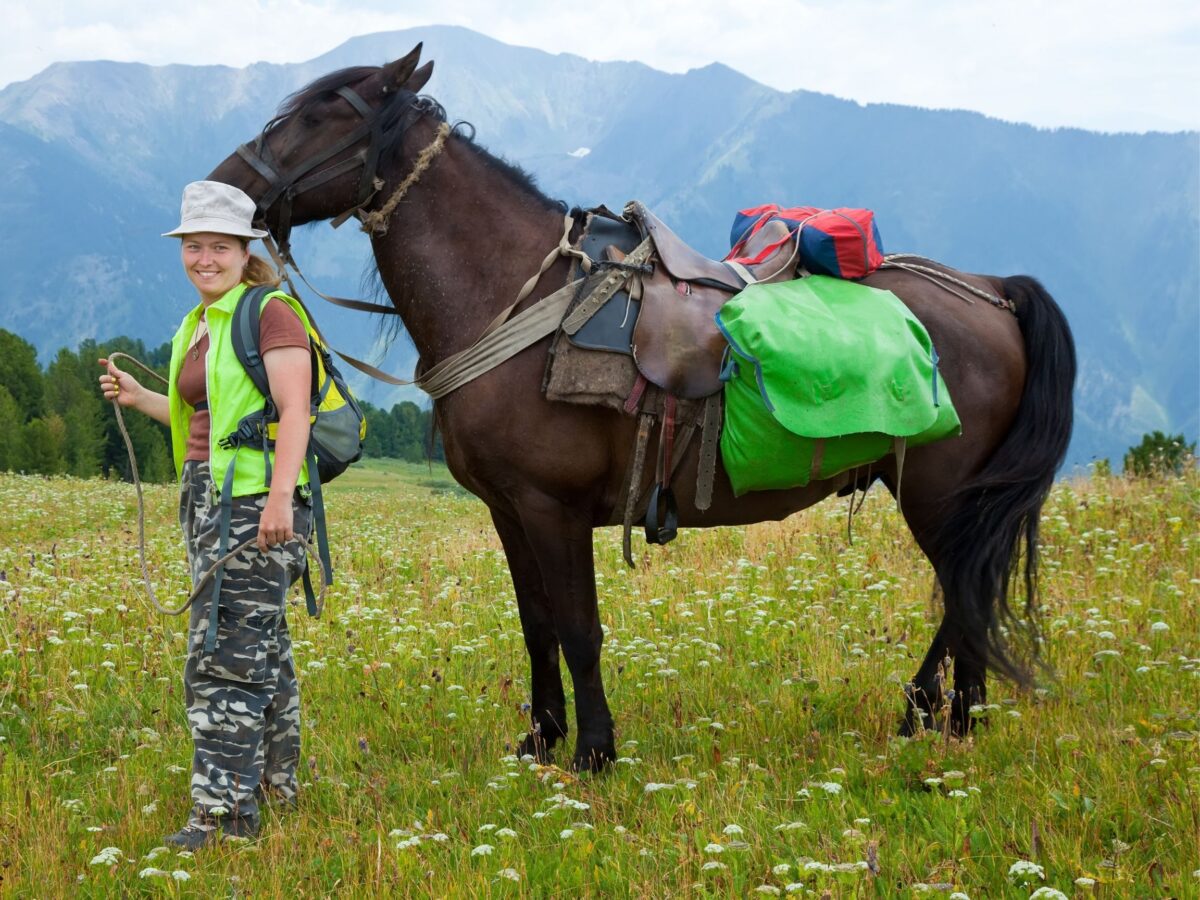 Pommel And Cantle Bags For Western And English Saddles