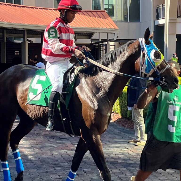 Why Jockeys Wear Silks And 12 Other Horse Jockey Facts.