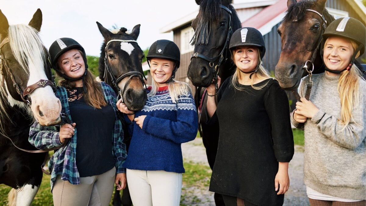 Retired Racehorses: What Happens After The Track?