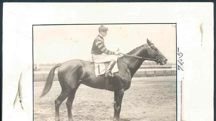 Man O’ War: Was He The Greatest Or Fastest Horse To Race?