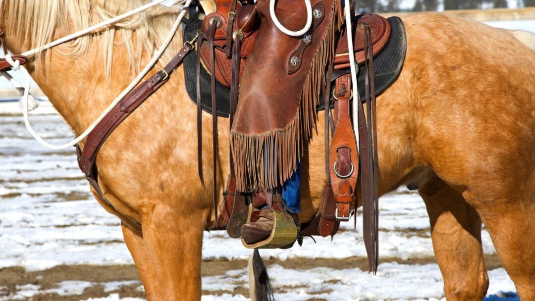 Why Do Cowboys Wear Chaps? A Comprehensive Guide