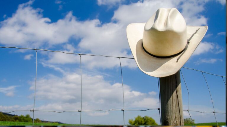 9 Cowboy Hat Styles: Their Shapes, Purposes, And History