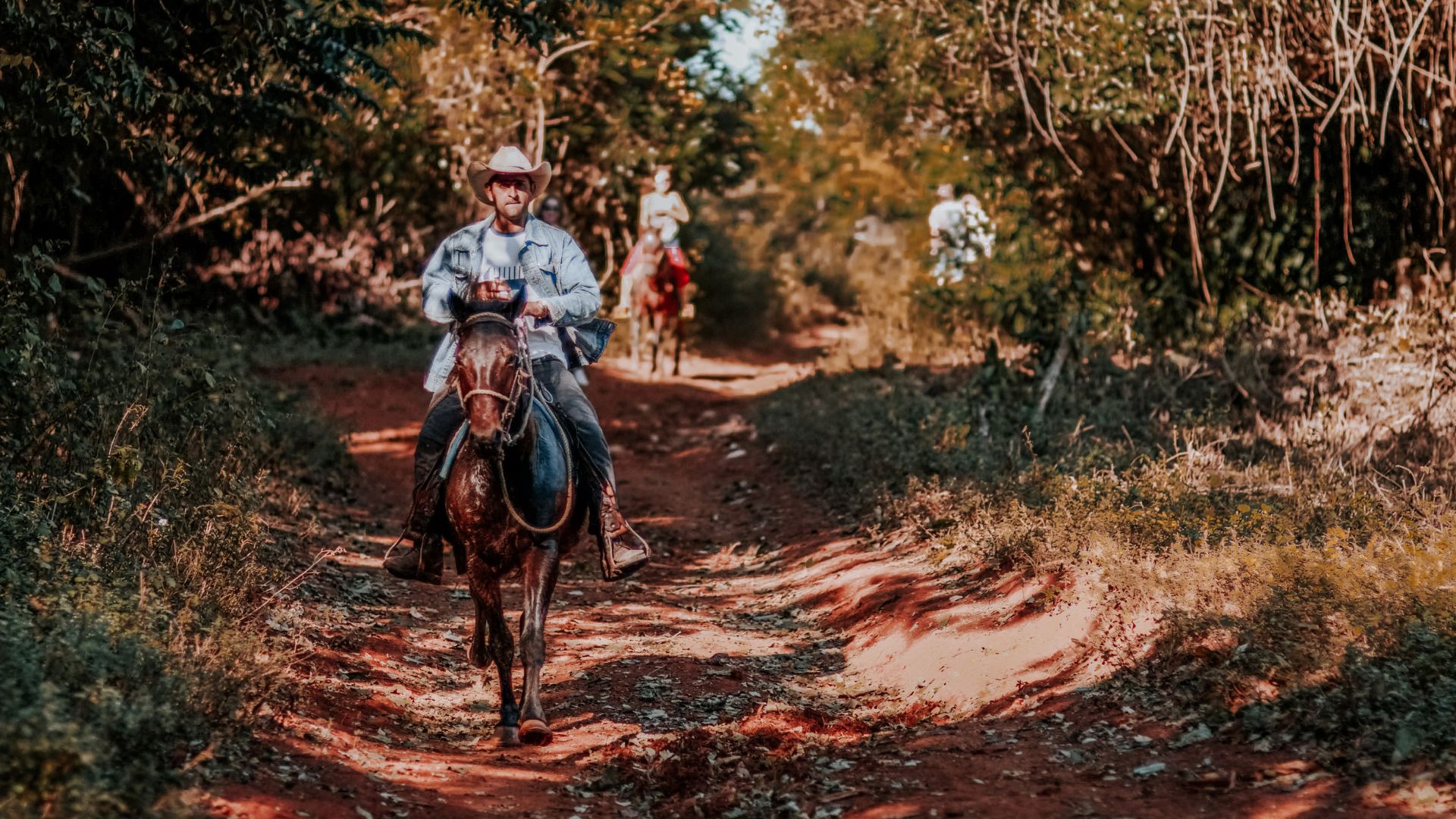 10 Best Horse Breeds For Trail Riding: Expert Recommendations