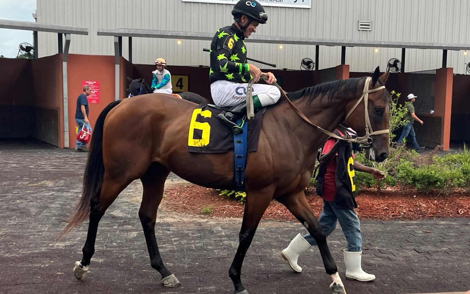 Fast Horses: Why Some Run Faster Than Others