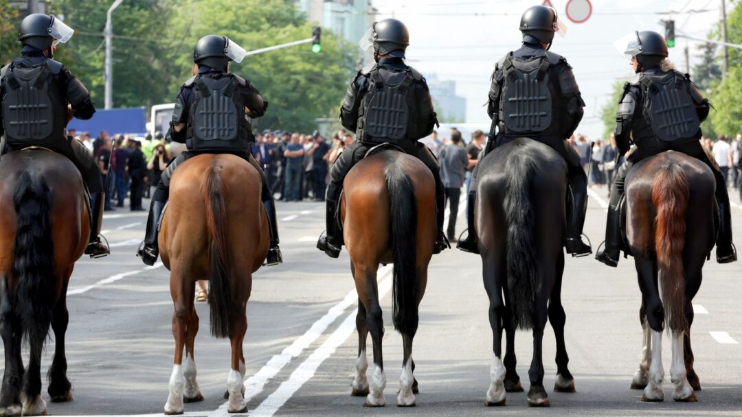 Police Horses: Maintaining Order From The Saddle