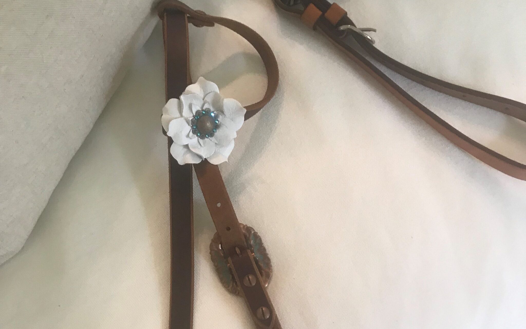 The Ultimate Horse Headstall Guide: Types, Fitting & Care