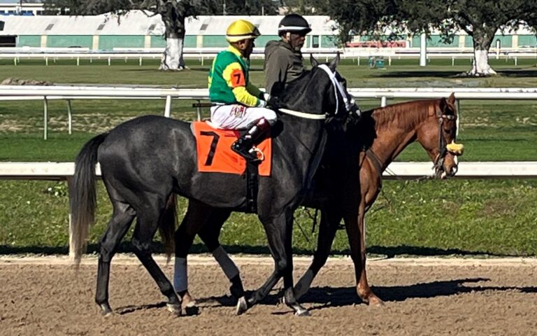 Why Jockeys Wear Silks And 12 Other Horse Jockey Facts.