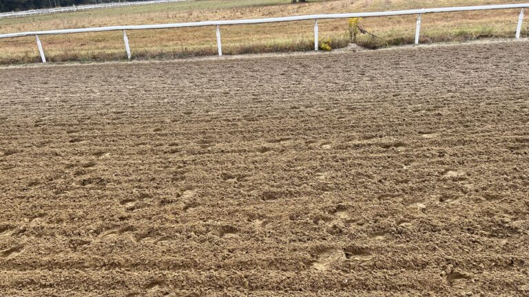 Horse Racing Fatality Rates 2025: HISA Stats & Safety Tips