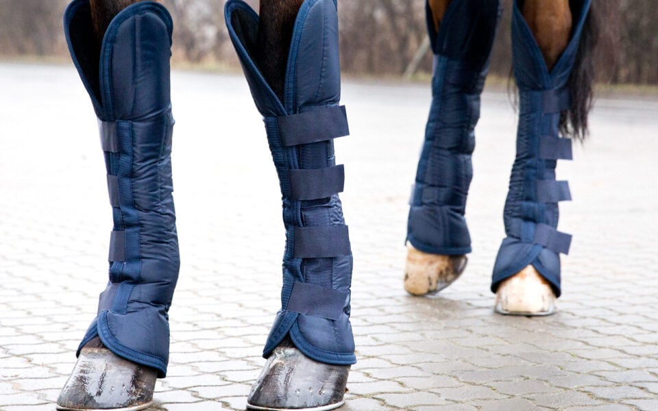 Boots For Horses: Types And When To Use (Owners Guide)