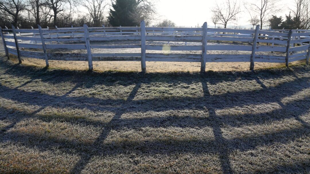 Horse Round Pen: Why You Need One And How To Build Your Own.