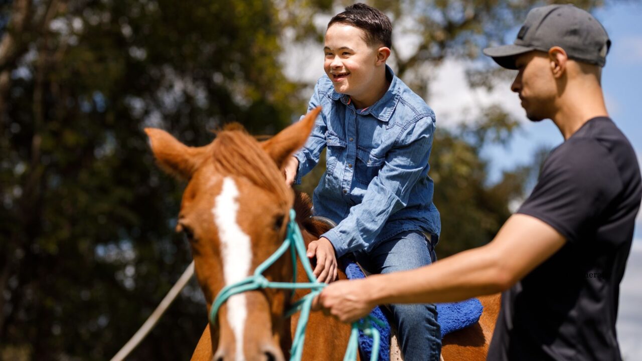 The Healing Power Of Horses: Equine Therapy In Action