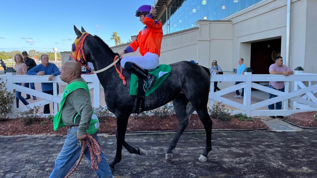 The Role Of Jockeys In Horse Racing