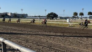 Racehorse Jockey Duties: Skills, Roles And Strategy