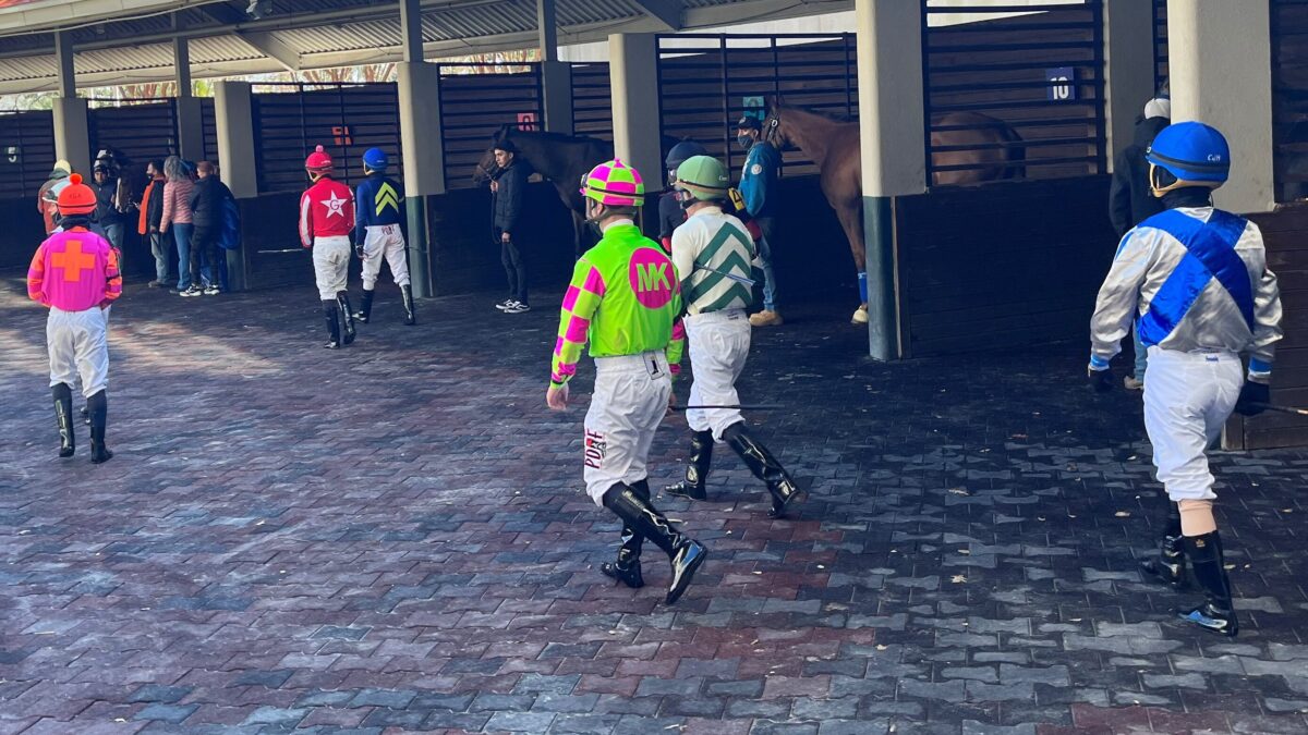 Racehorse Jockey Duties: Skills, Roles And Strategy