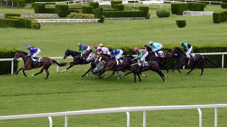 What Is Steeplechase Racing? Rules, Horses & Famous Races