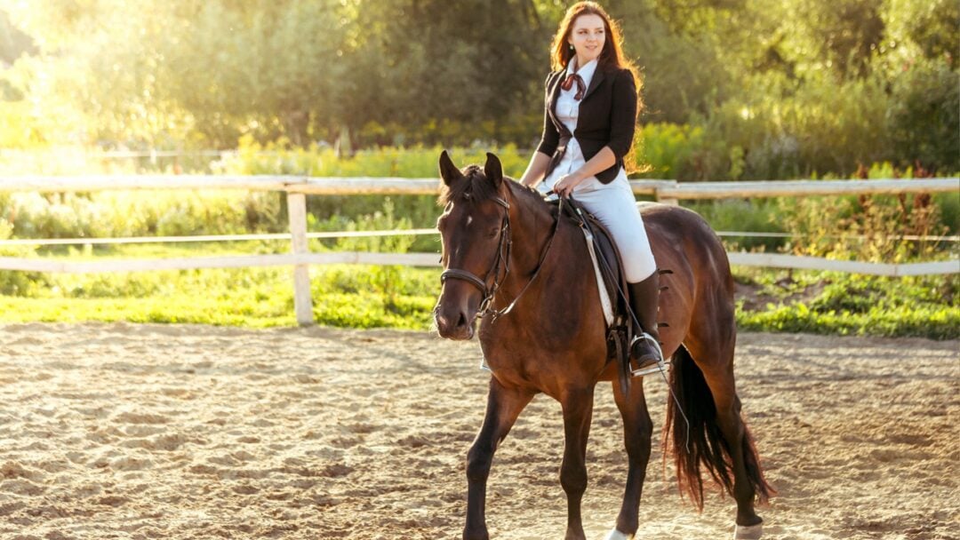 Riding To The Beat: The Ultimate Horse Riding Playlist