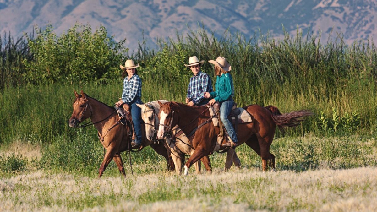 Mastering Cowboy Boots: Your Ultimate Guide