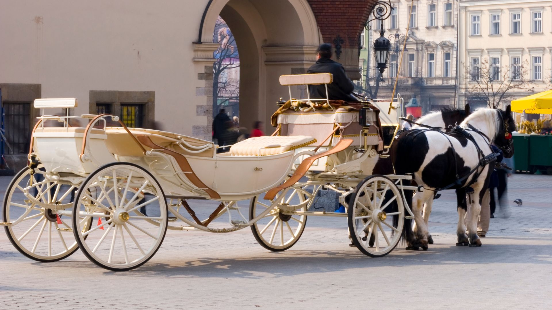 Draft Horses Guide: Best Uses, Breeds Comparison & Ownership