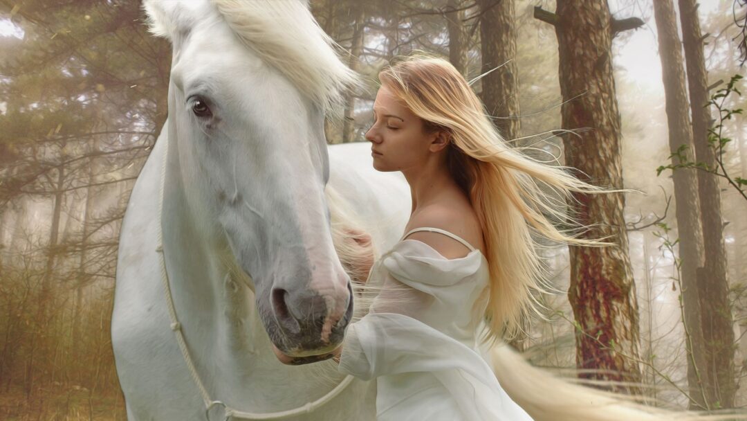 A History Of Horses: America's Equine Influence