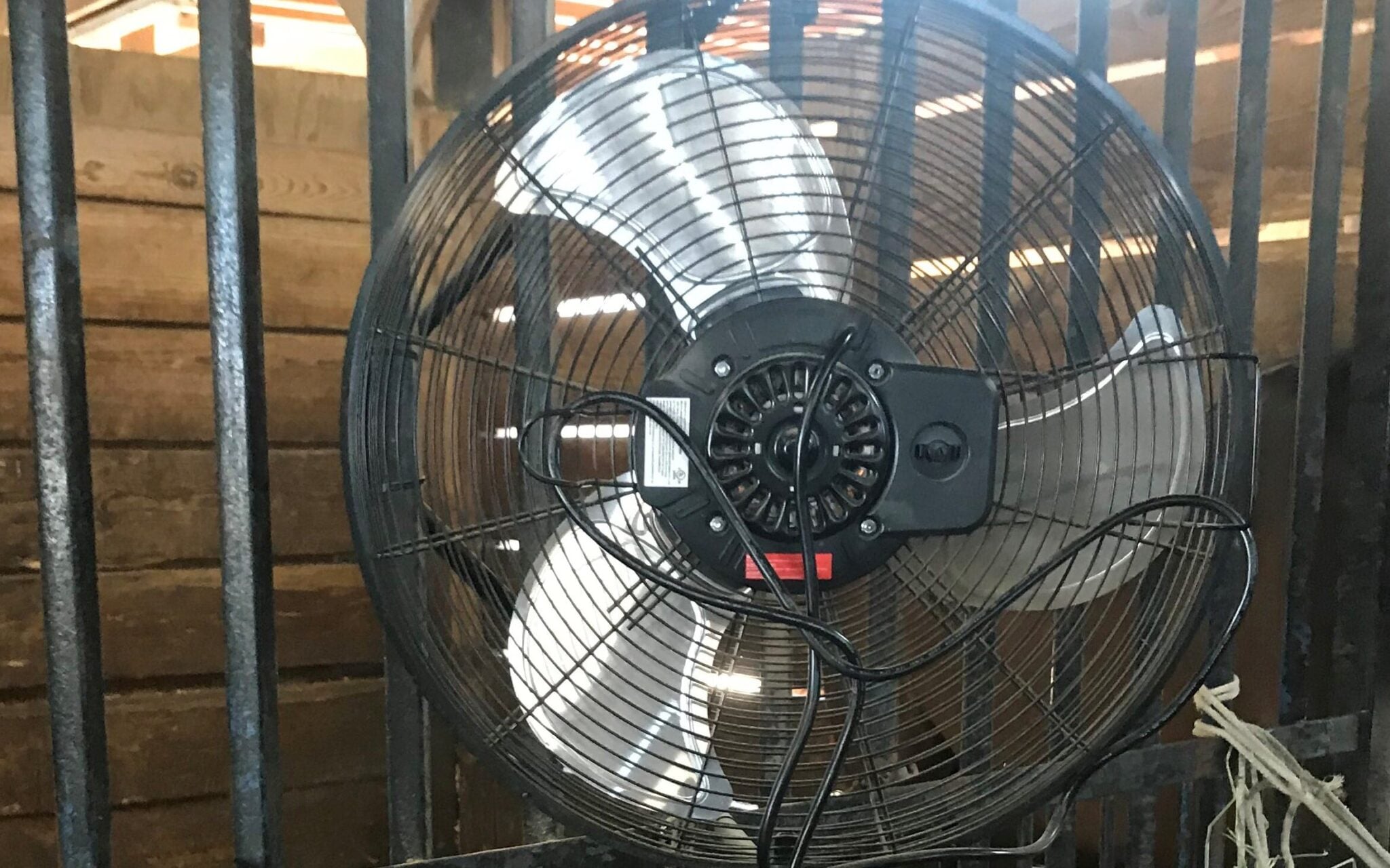 Best Horse Barn Fans For Stalls & Aisles: Full Buying Guide