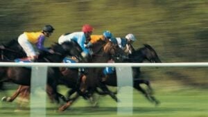 Horse Racing Basics: A Comprehensive Guide For Beginners