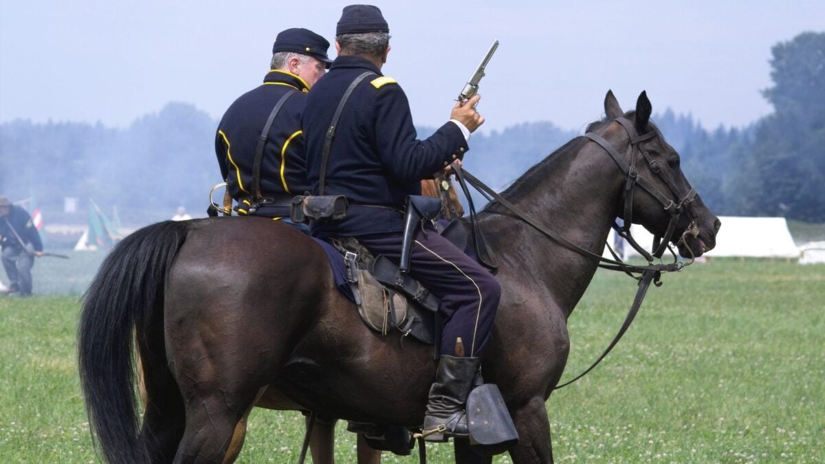 A History Of Horses: America's Equine Influence