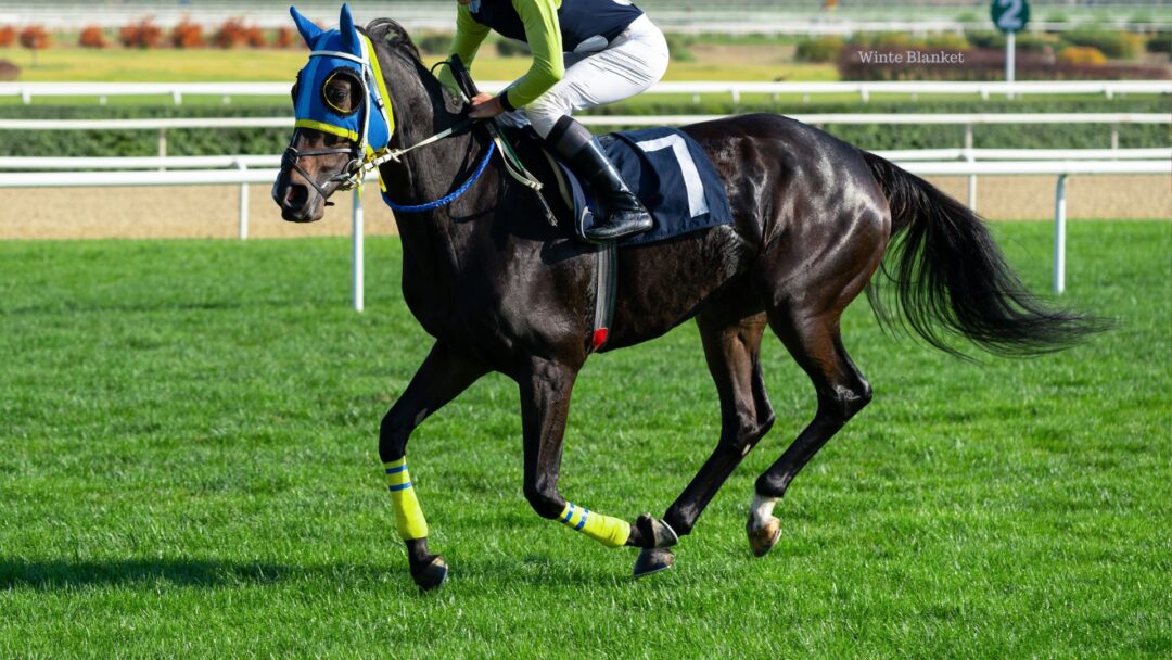 Racehorse Bloodlines: A Guide To Pedigree Analysis