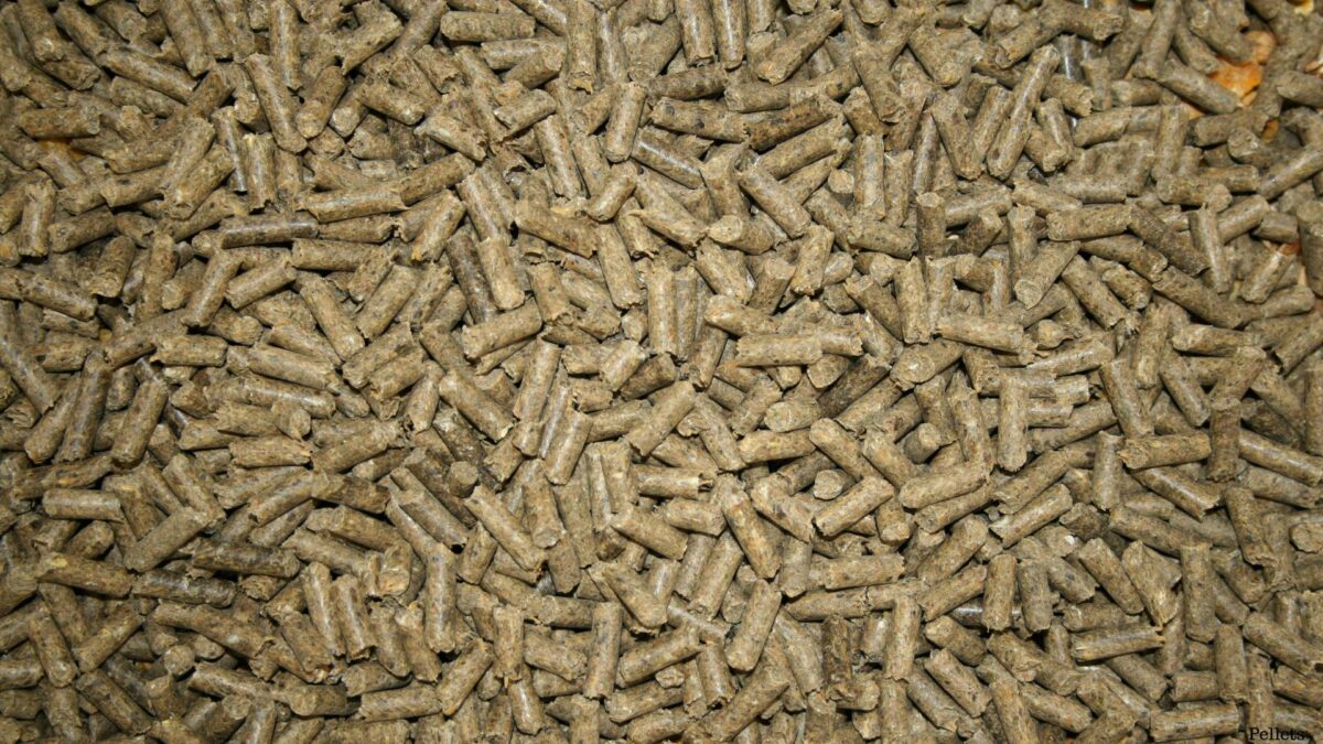 Alfalfa Pellets Vs. Hay: Pros & Cons For Horse Owners