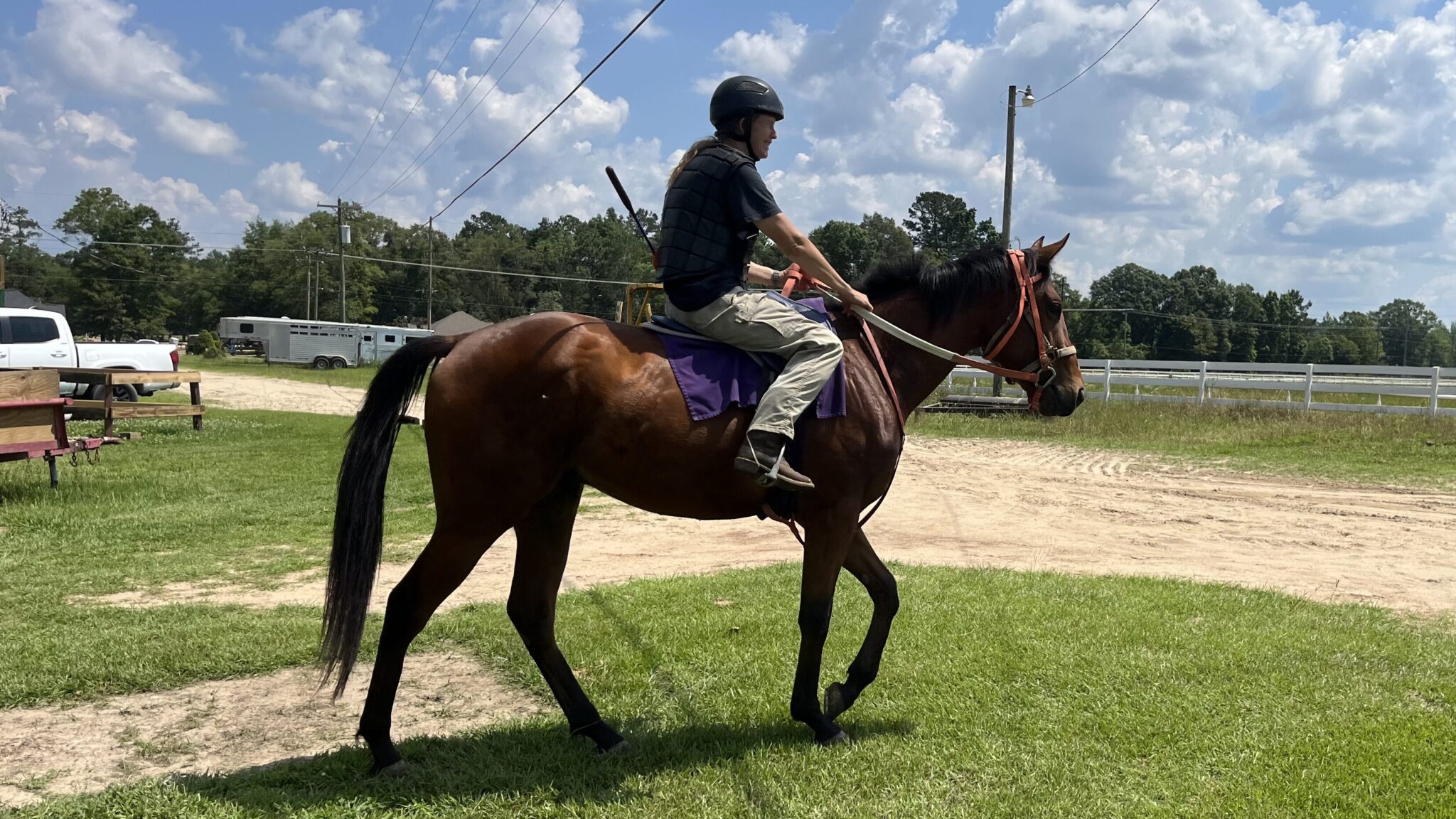 Do Horses Like To Be Ridden? A Journey Of Love & Trust
