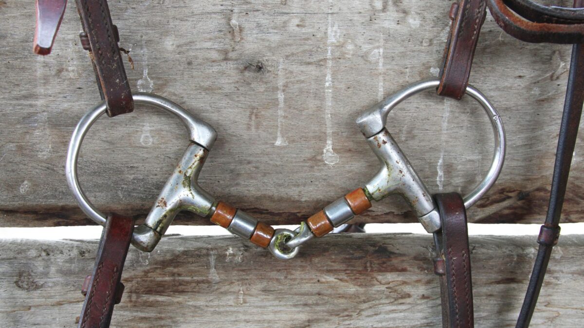 Snaffle Bits 101: The Horse Owner's Guide To Types And Uses